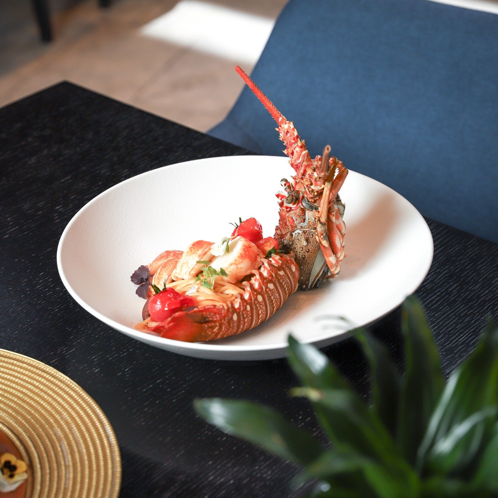 ALRAYYAN HOTEL DOHA, CURIO COLLECTION BY HILTON WELCOMES ALI GHARIB AS ...