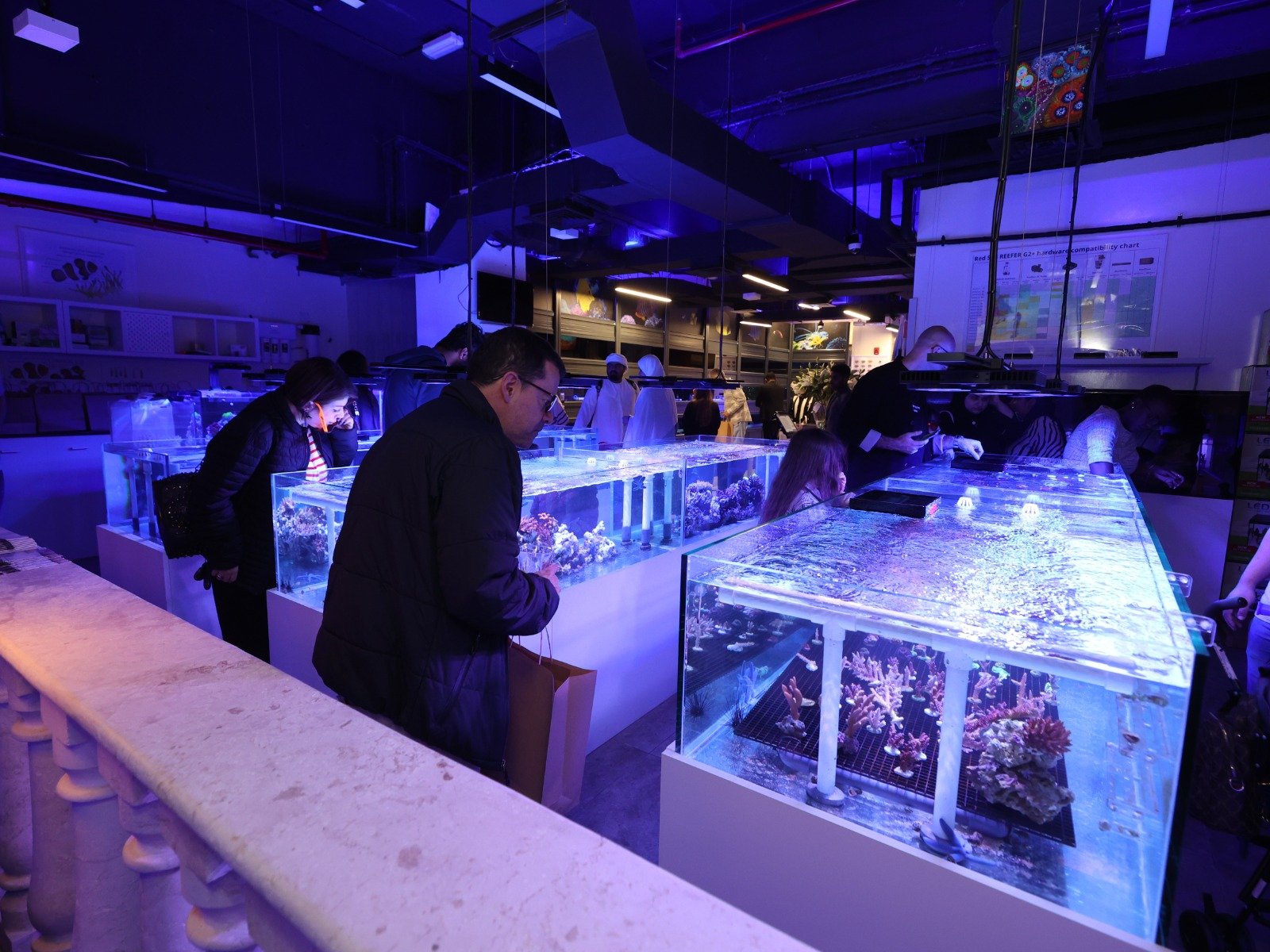 GRAND OPENING OF BLUE MARINE LIFE TRADING AT THE OLD DOHA PORT - LLQ ...